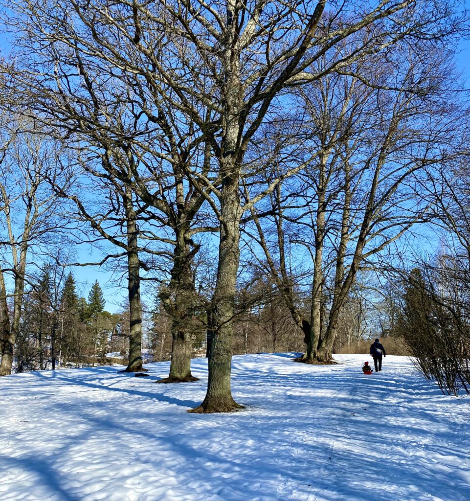 Talviloma Helsingissä 2023 - Pienten Helsinki